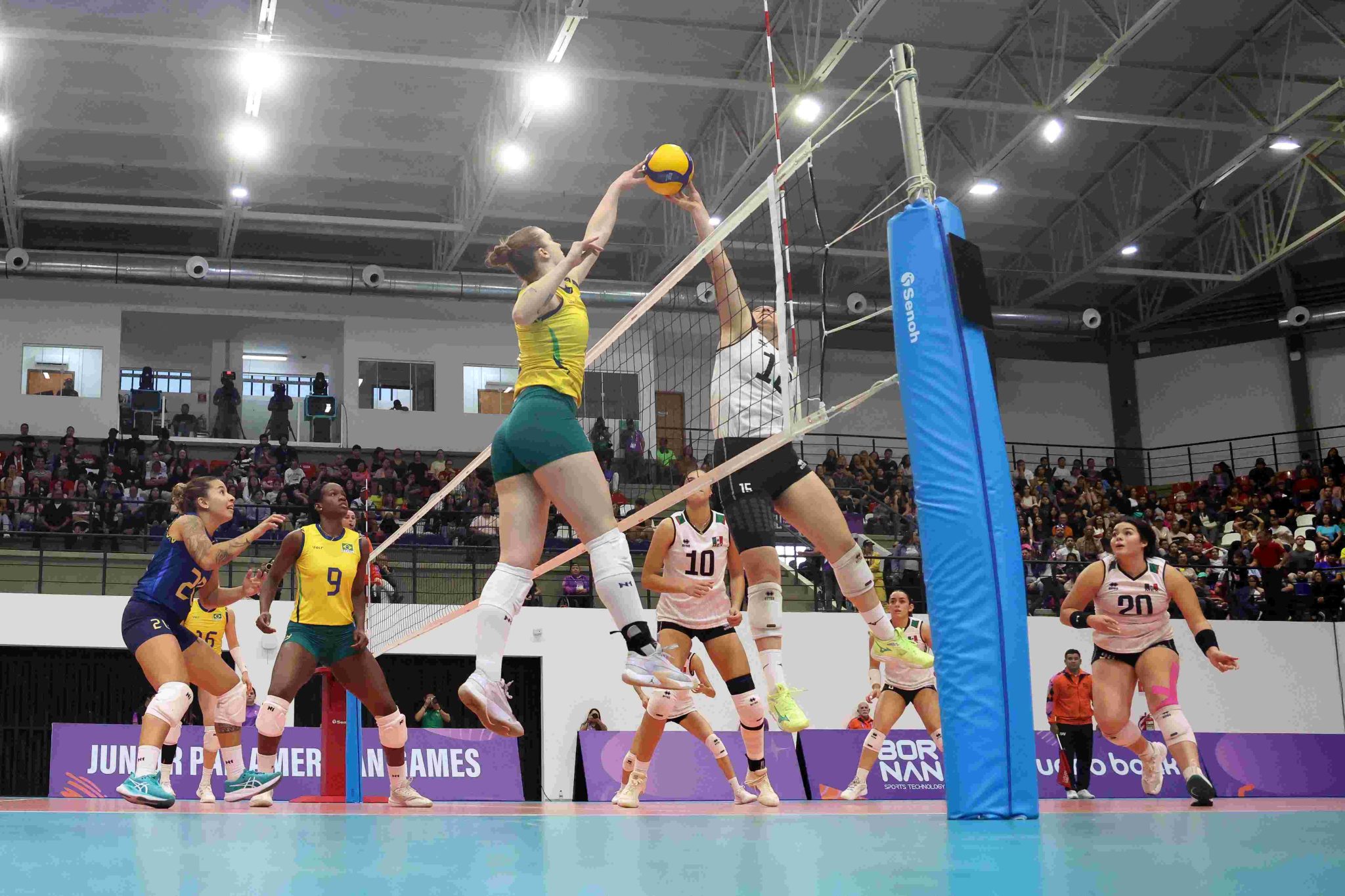Brazil, Undefeated Two-Time Women’s Volleyball Champion at Junior Pan ...